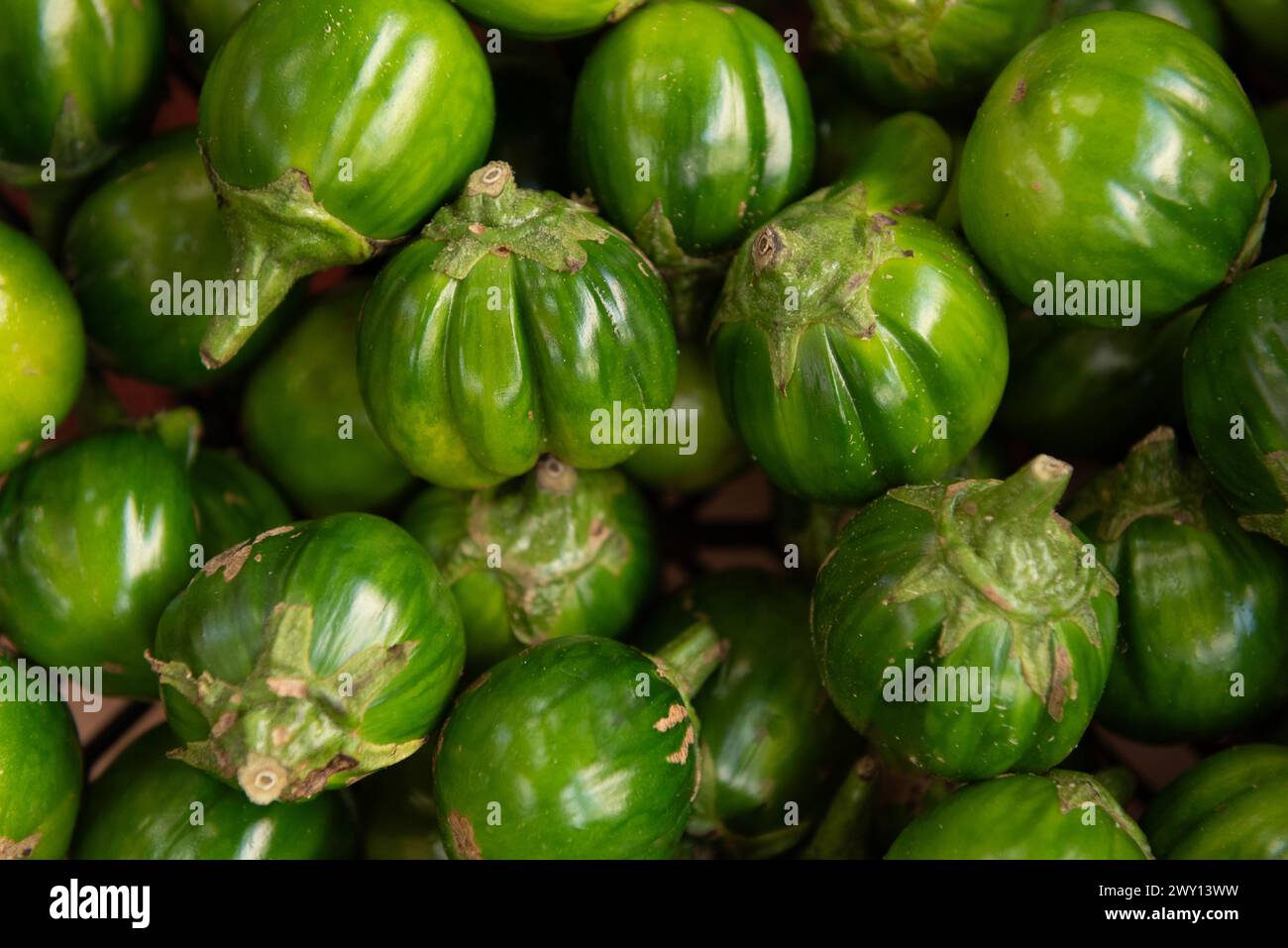 Gilo hi-res stock photography and images - Alamy