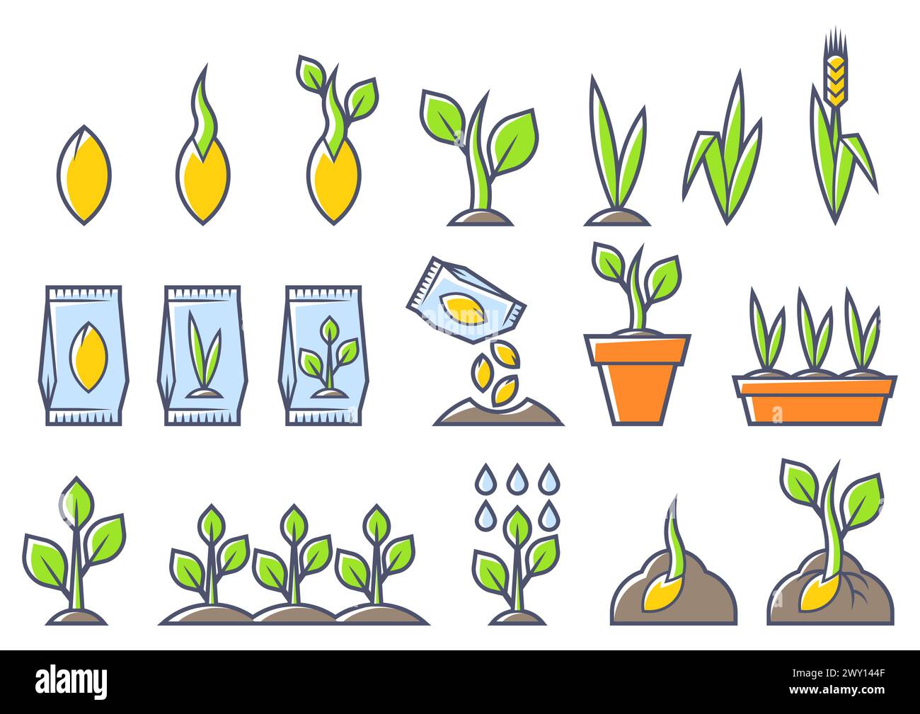 Planting seeds and growing set. Agricultural, cultivation and planting ...