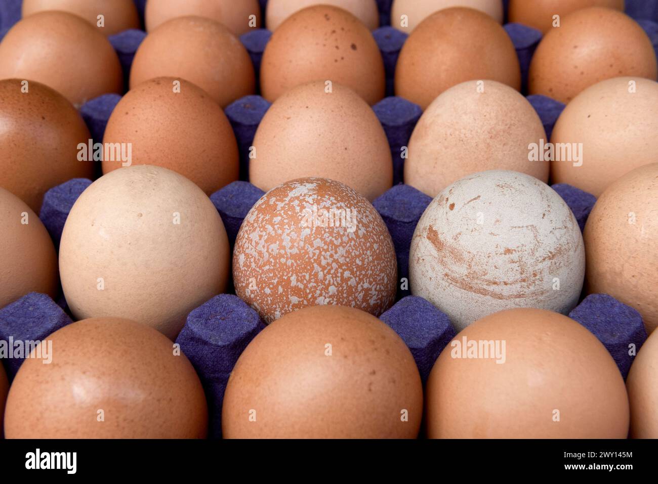 Different shades brown hi-res stock photography and images - Alamy