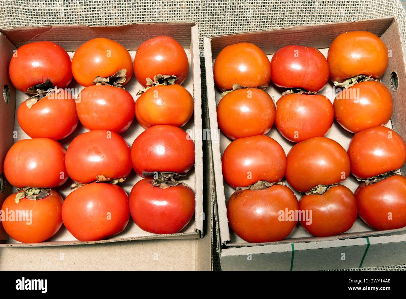Boxes of persimmons Stock Photo - Alamy