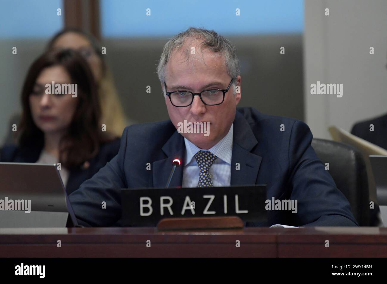 Washington, USA. 31st Dec, 2015. Permanent Representative of Brazil ...