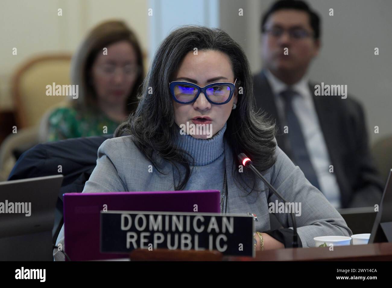 Washington, USA. 31st Dec, 2015. Permanent Representative of Dominican ...