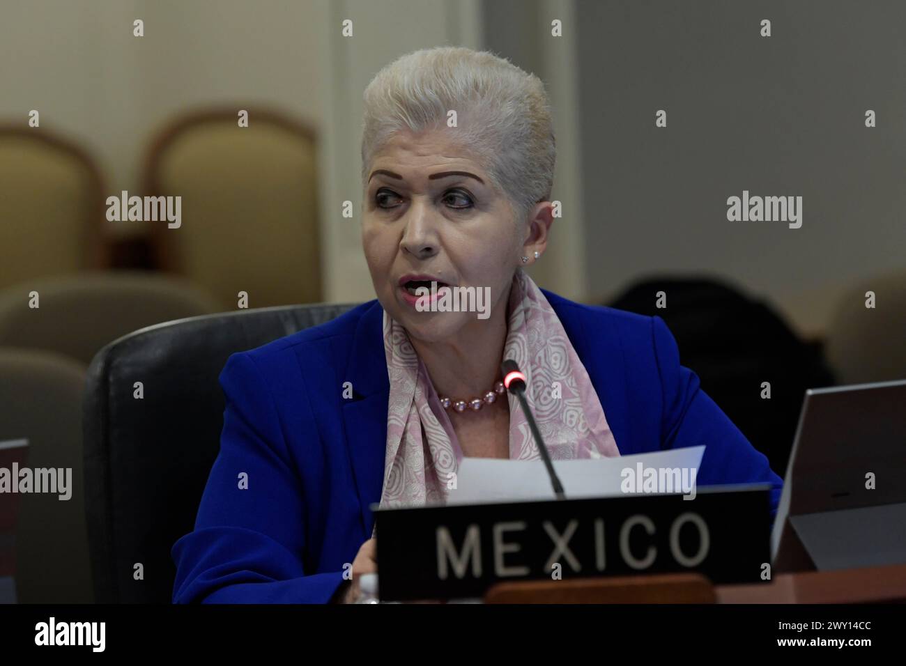Washington, USA. 31st Dec, 2015. Permanent Representative of M xico ...
