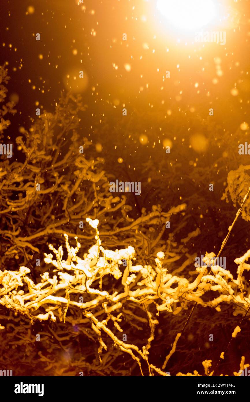 Falling snow under a street lamp, vertical Stock Photo - Alamy