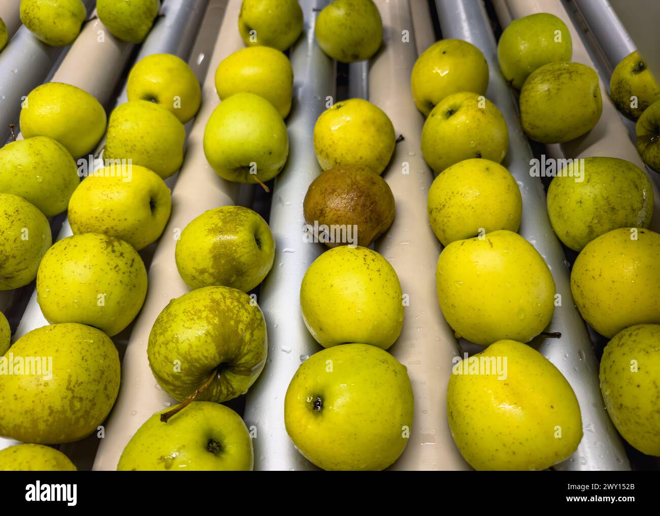 Sorting and processing hi-res stock photography and images - Alamy