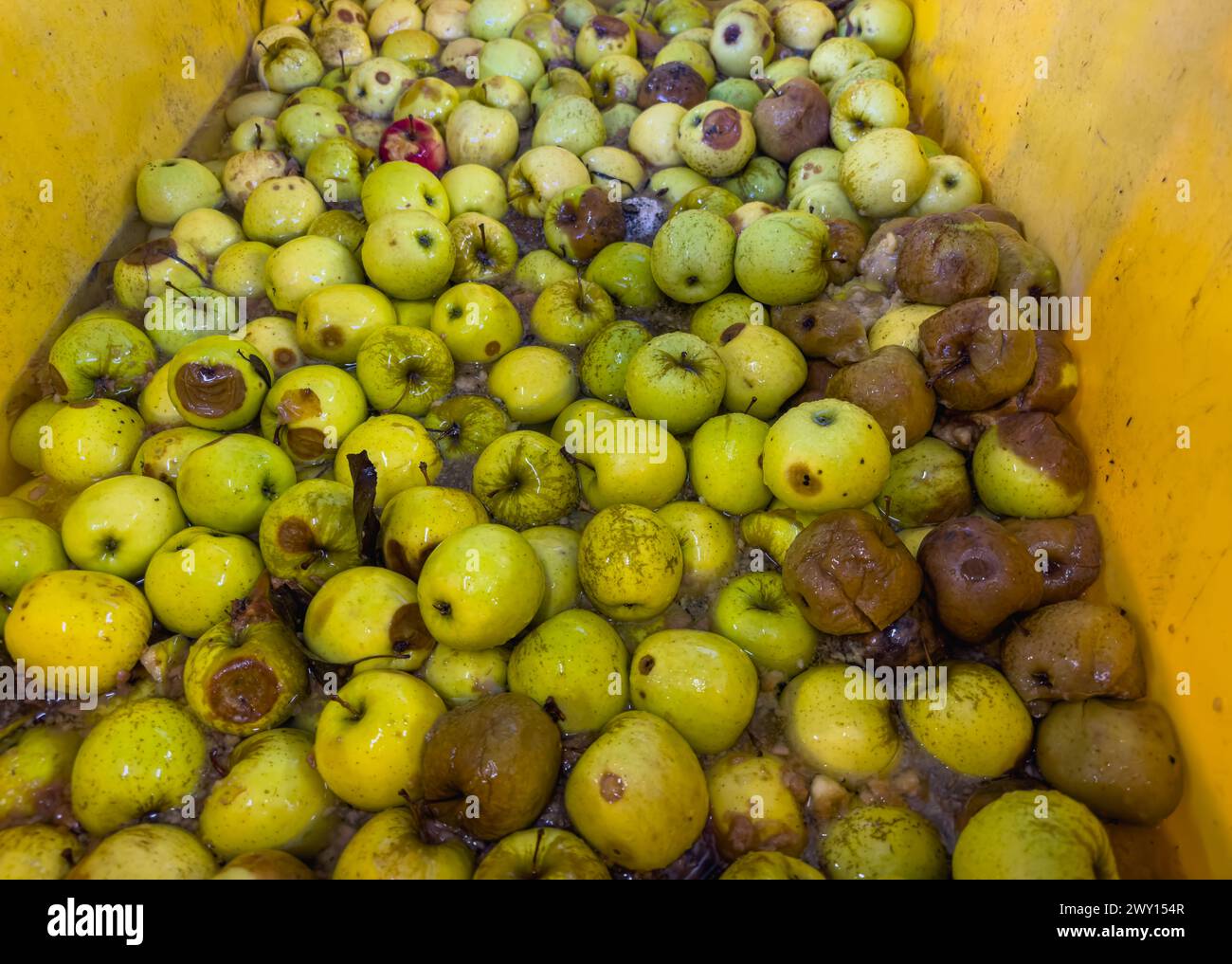 Sorting and processing hi-res stock photography and images - Alamy