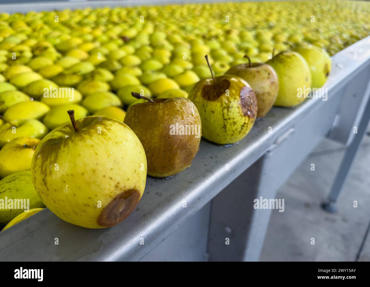 Rubber gloves on production line hi-res stock photography and images ...