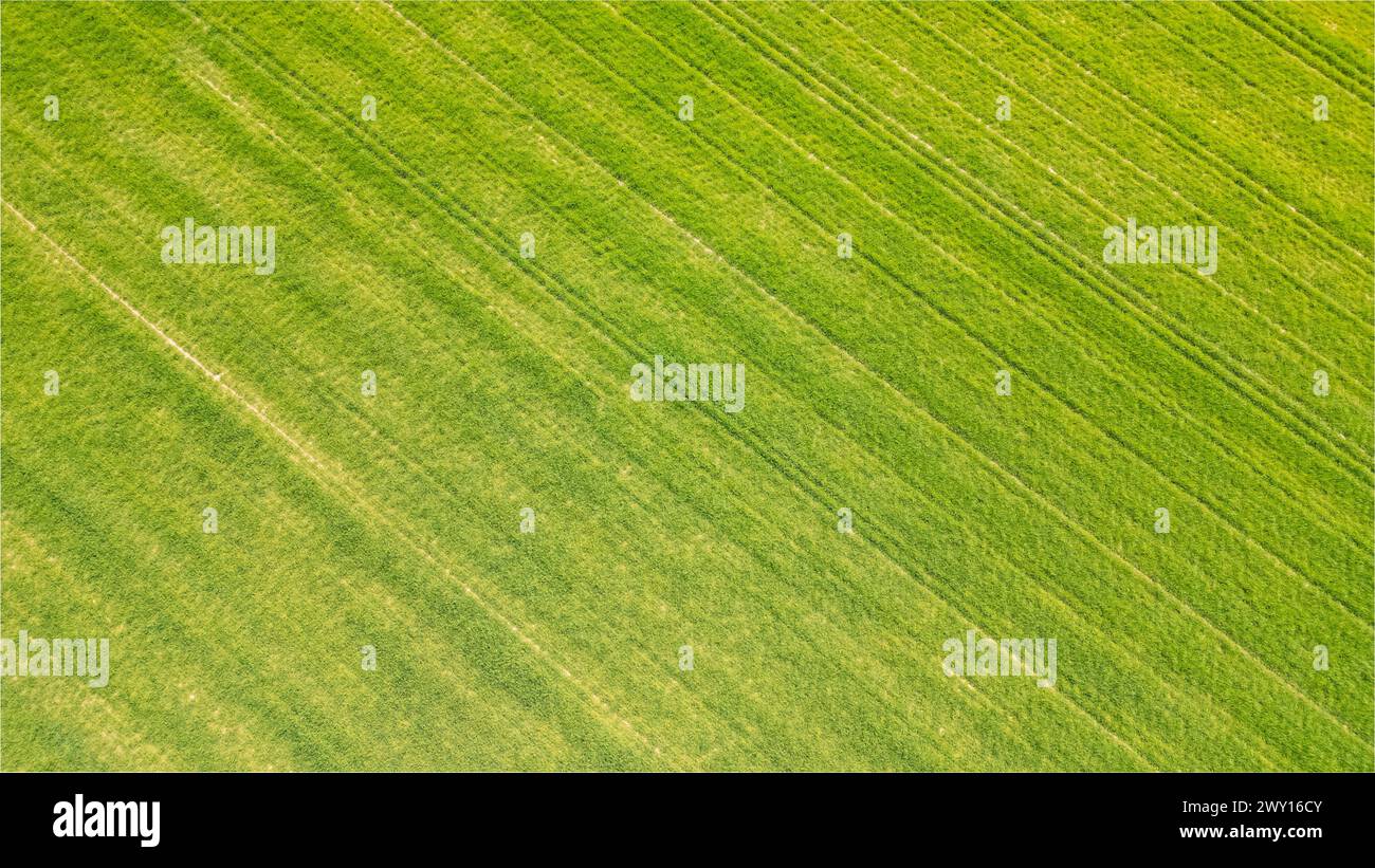 Grass field birds eye view hi-res stock photography and images - Alamy