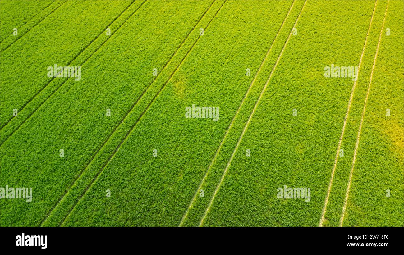 Grass field birds eye view hi-res stock photography and images - Alamy