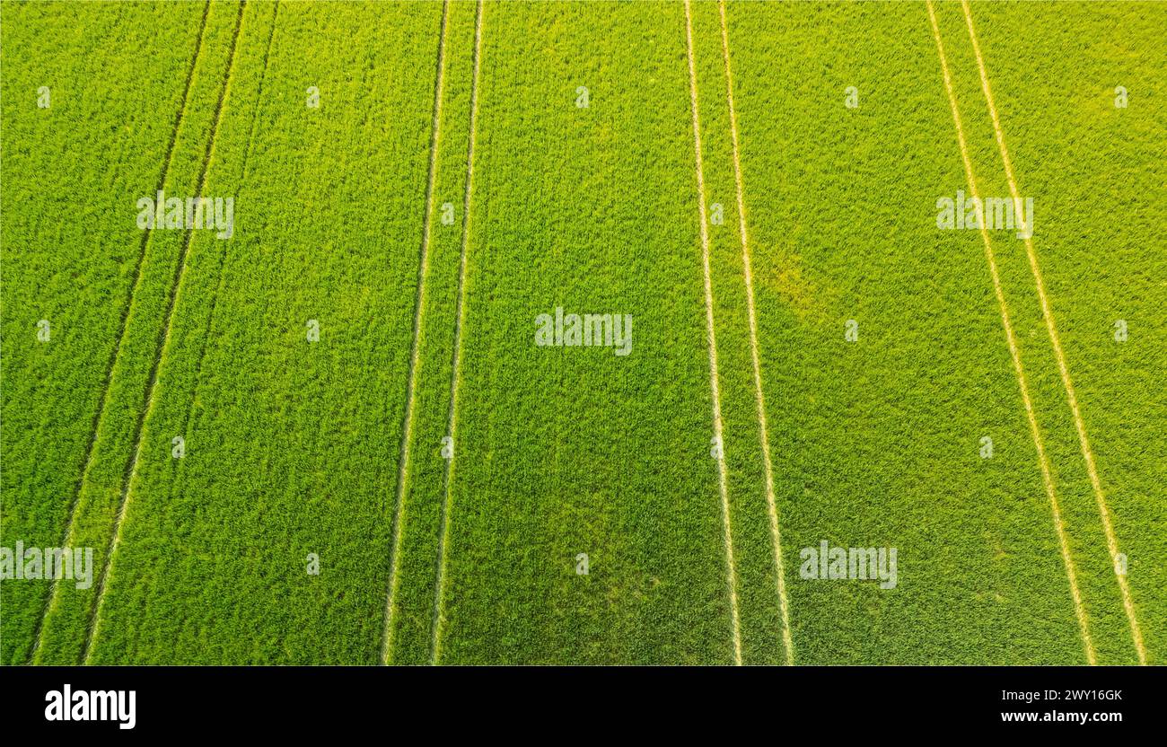 Grass field birds eye view hi-res stock photography and images - Alamy