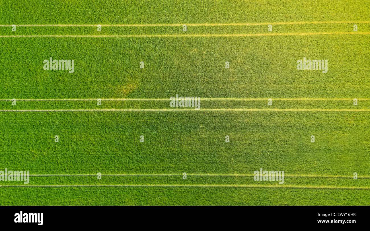 Grass field birds eye view hi-res stock photography and images - Alamy