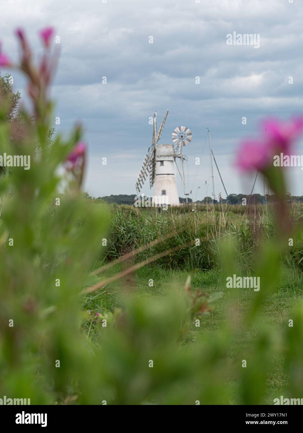 Thurne waterway waterways hi-res stock photography and images - Alamy