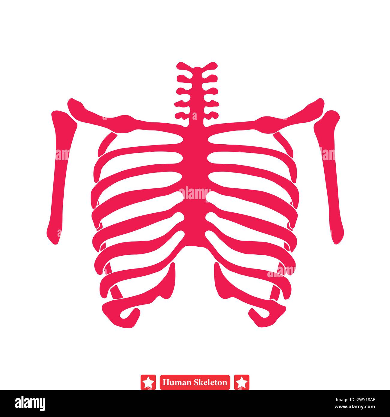 Mortal Marvels Exquisite Human Skeleton Silhouettes for Tattoo ...