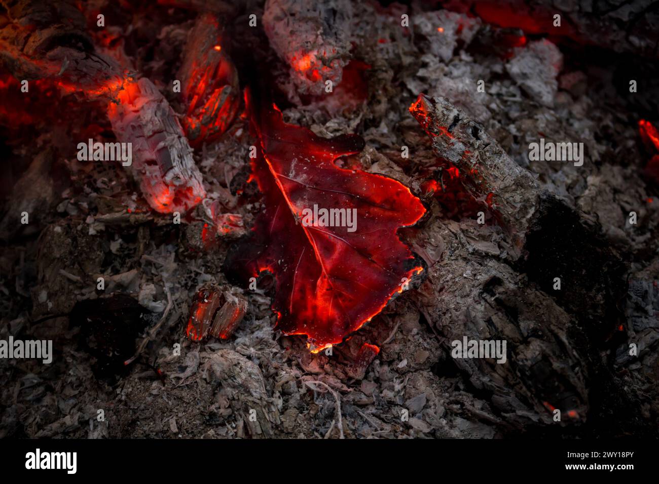 Fire flame in fireplace leaves hi-res stock photography and images - Alamy