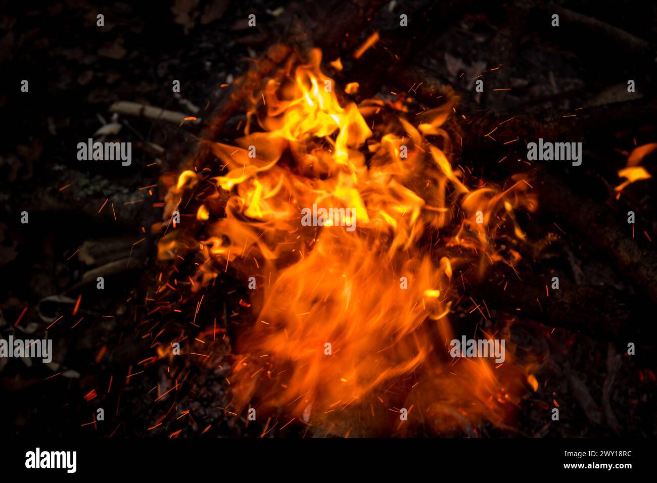 Bonfire in the forest, top view on the flames and sparks, beautiful ...