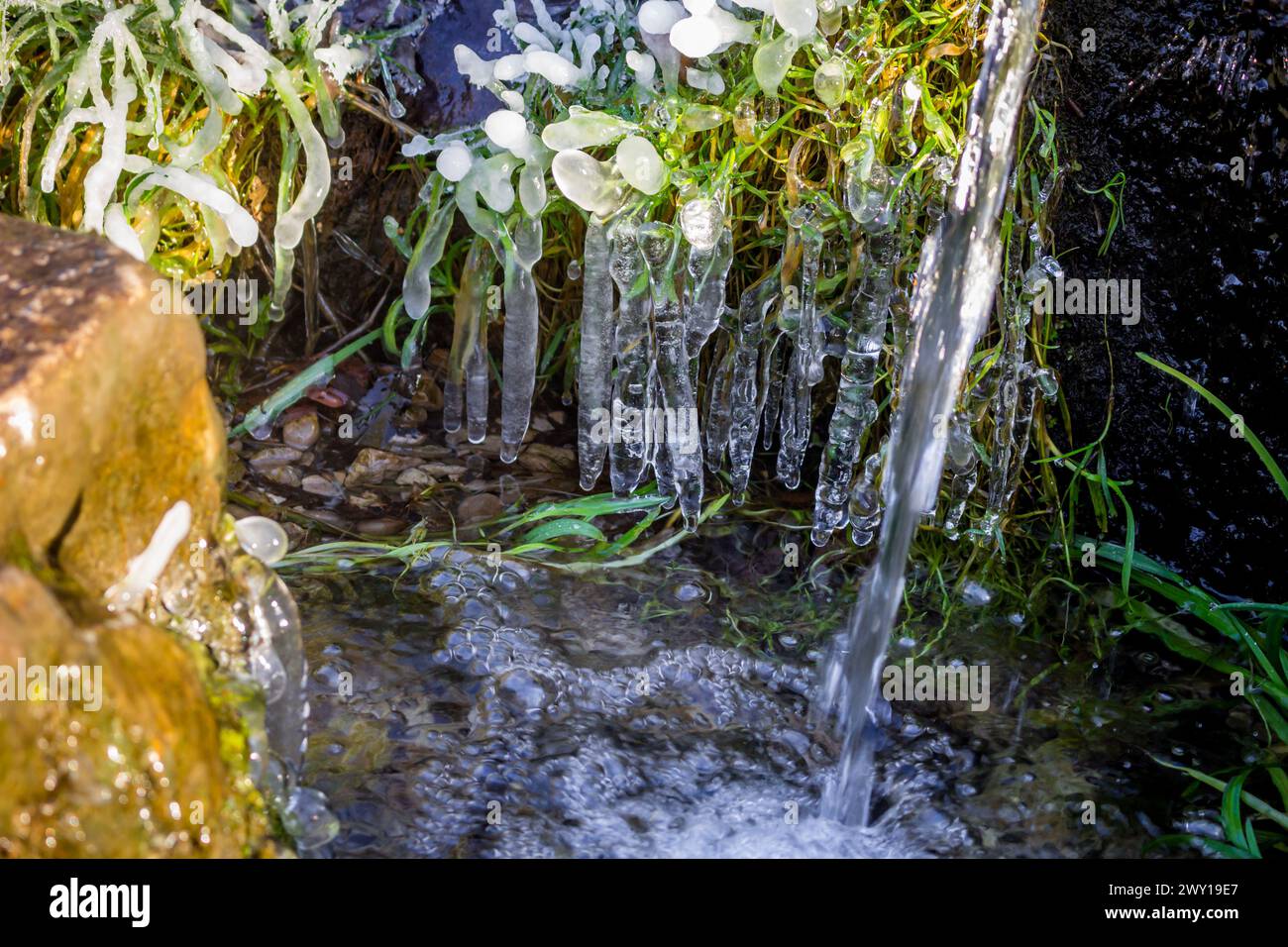 Beautiful icy spring in sunny day, build-up of ice near the source in ...