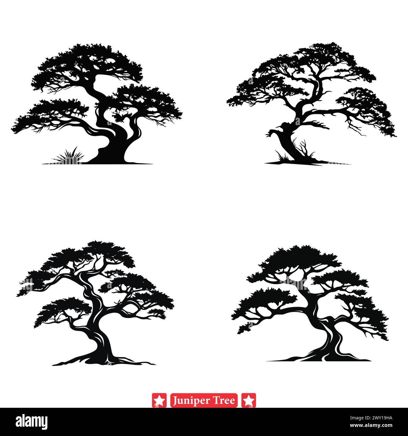 Artistry In Junipers Detailed Silhouette Designs For Creative Projects Stock Vector Image And Art