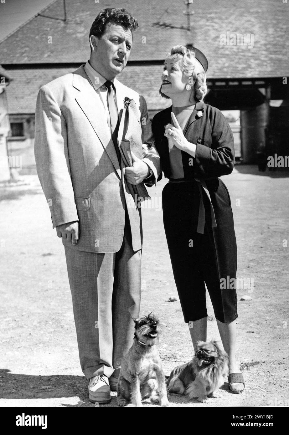 Der Vetter aus Dingsda, deutscher Spielfilm von 1953, Regie: Karl Anton ...