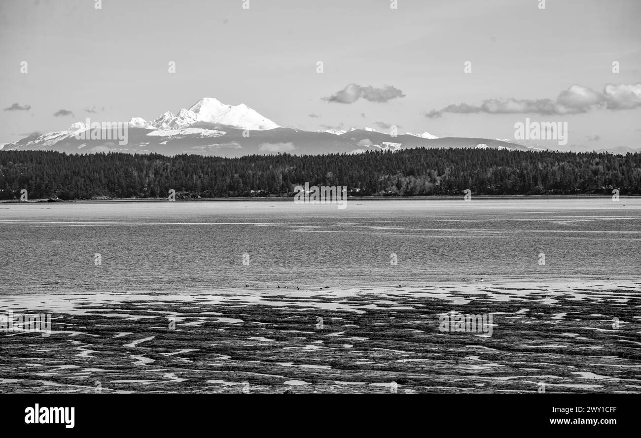 A view of mud flats with ocean water and mountains in the distance ...