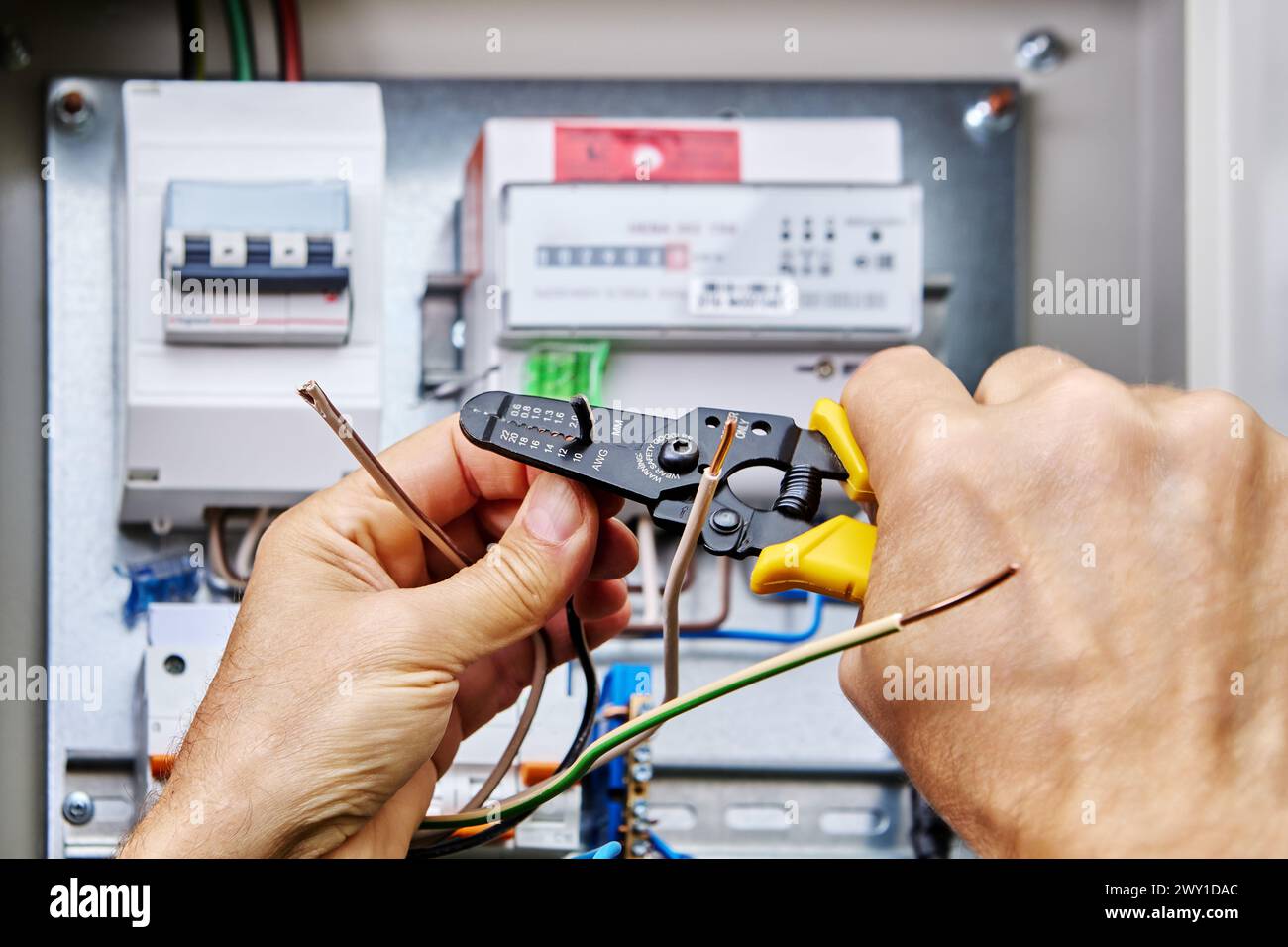 An electrician uses stripper cutter tool to remove insulation from ends ...