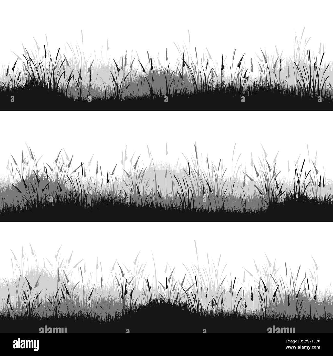 Meadow silhouettes with grass, plants on plain. Panoramic summer lawn ...