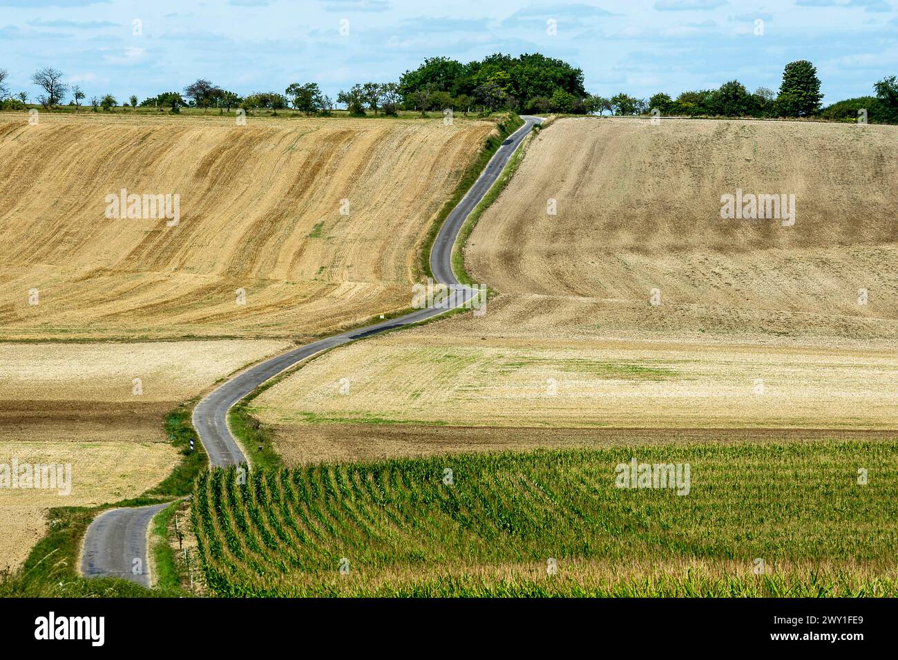 Route sinueuse parmi les champs | Stock Photo - Alamy