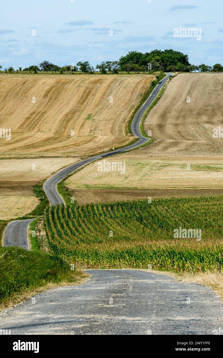 Route sinueuse parmi les champs | Stock Photo - Alamy