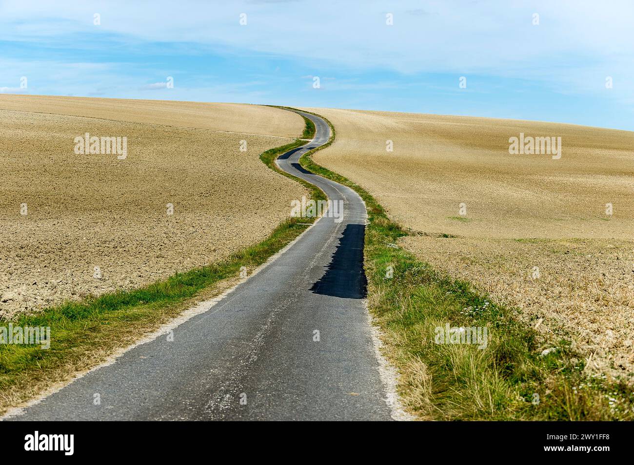 Route sinueuse parmi les champs | Stock Photo - Alamy