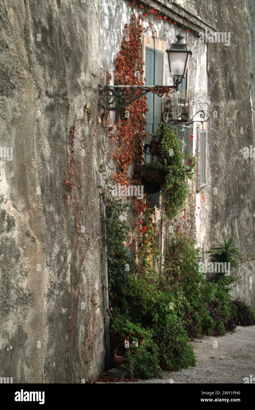 Old stone building in the town of Meta, Italy Stock Photo - Alamy