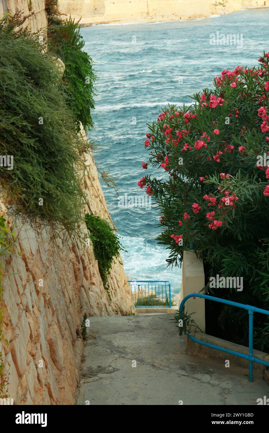 Pathway on cliff with beautiful sea view Stock Photo - Alamy