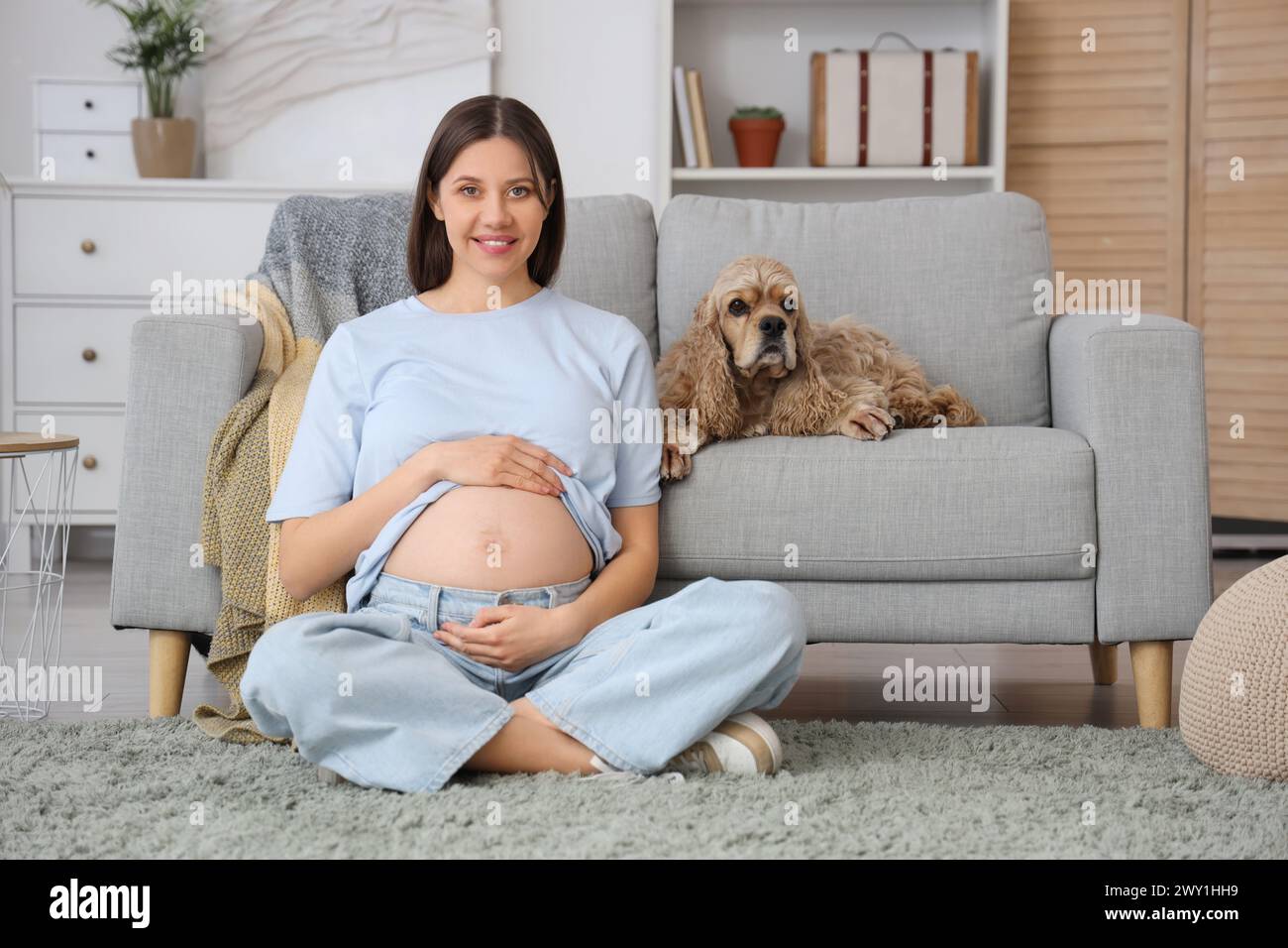 Beautiful pregnant woman with cocker spaniel on sofa at home Stock ...