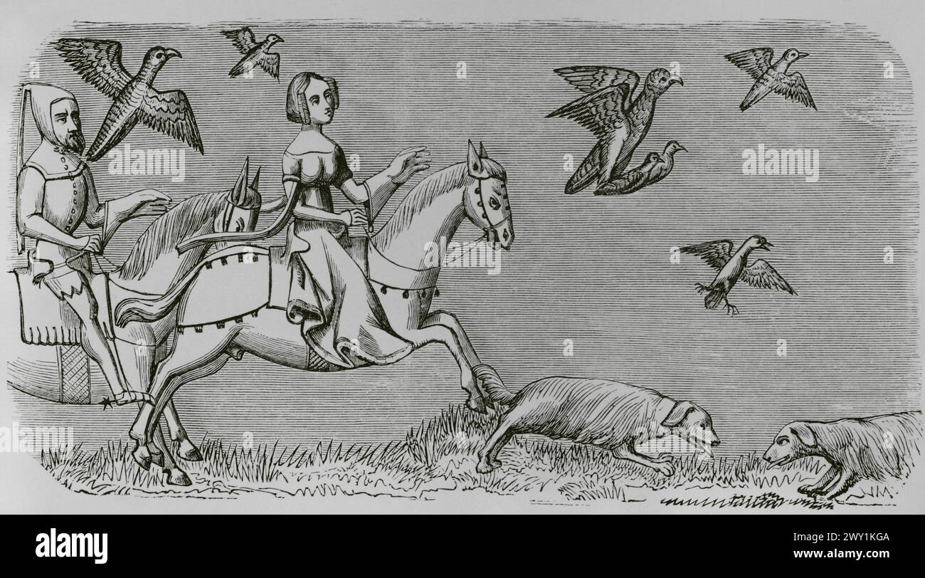 "How to make your new falcon fly." Engraving after a miniature from the ...