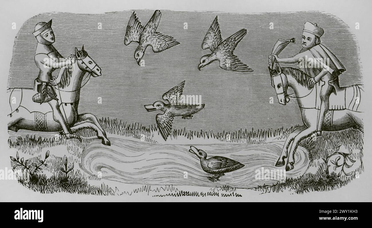 Medieval falconry hi-res stock photography and images - Alamy