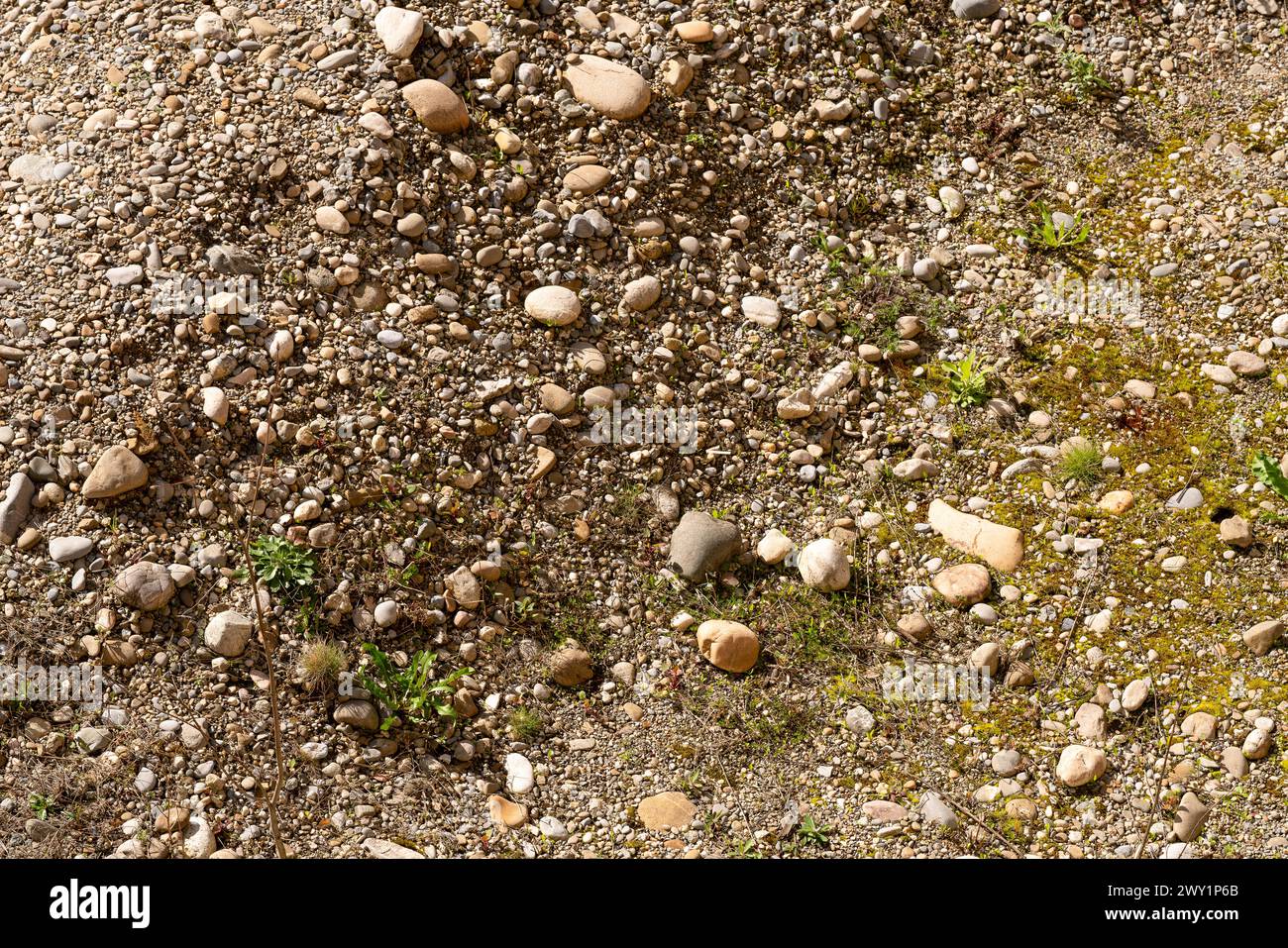 Dry and dusty ground texture with pebbles and dirt and little ...
