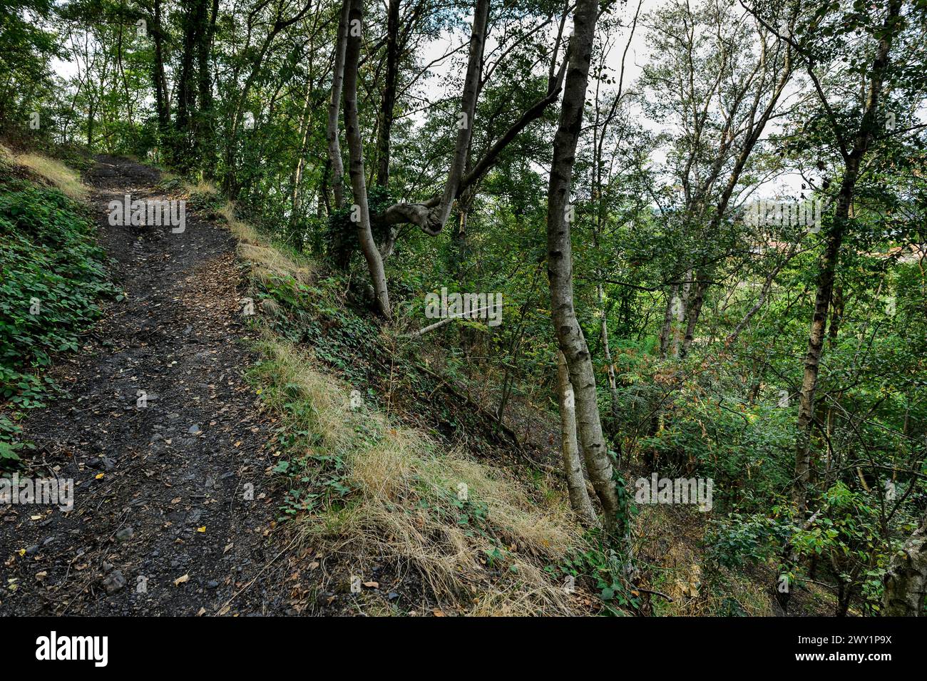 Promenade of borne hi-res stock photography and images - Alamy