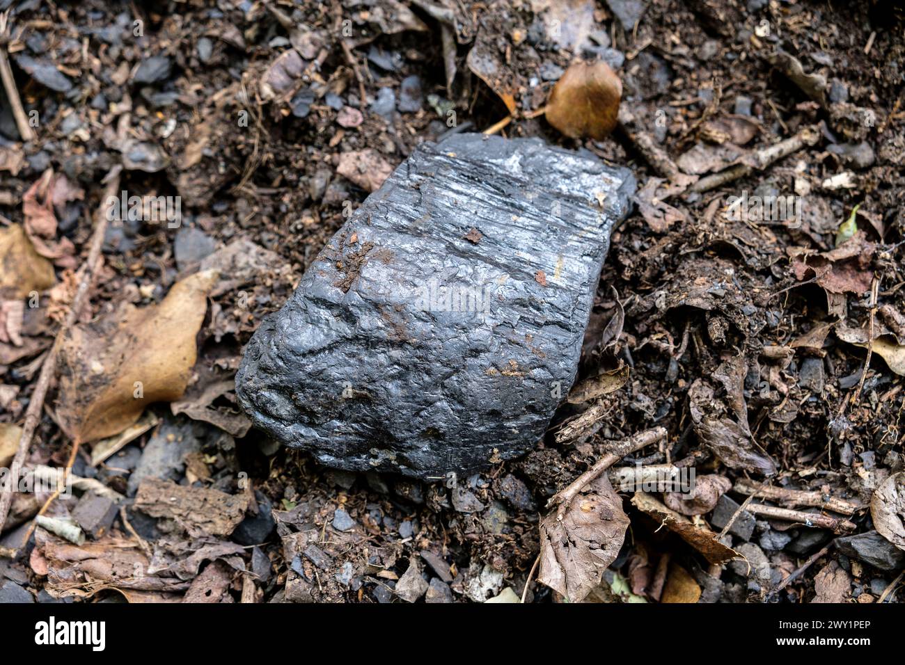 Promenade of borne hi-res stock photography and images - Alamy