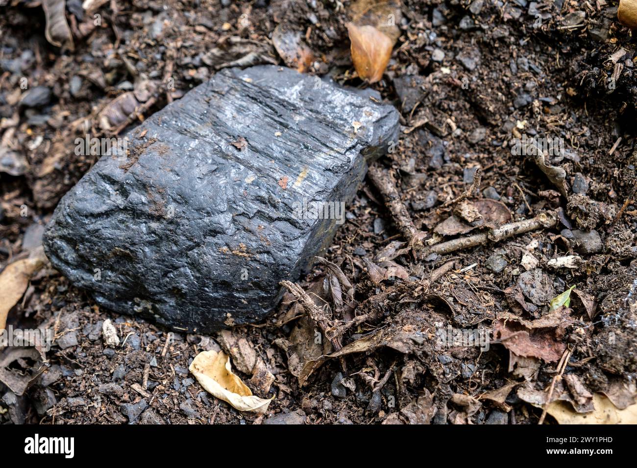 Promenade of borne hi-res stock photography and images - Alamy