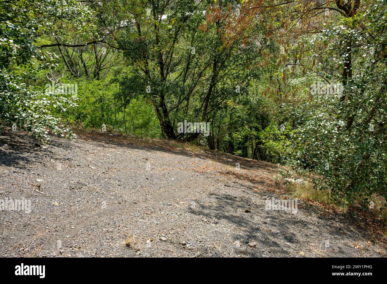 Promenade of borne hi-res stock photography and images - Alamy