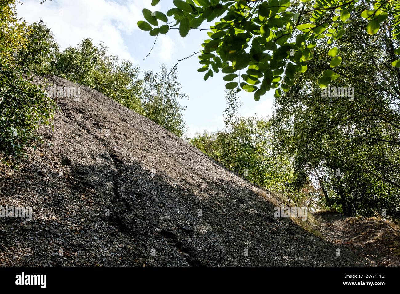 Promenade of borne hi-res stock photography and images - Alamy