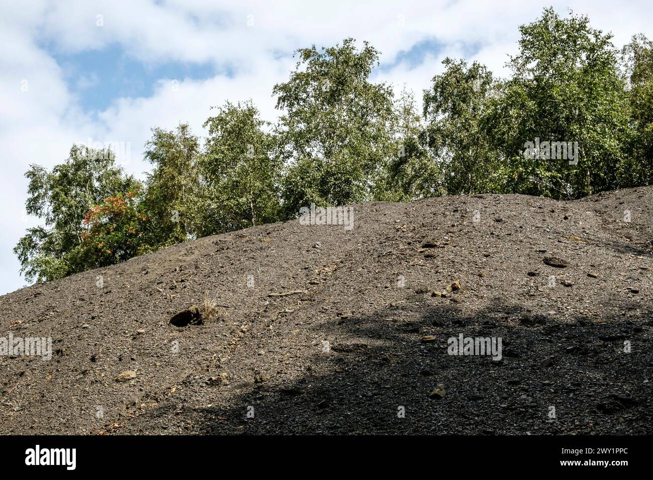Promenade of borne hi-res stock photography and images - Alamy