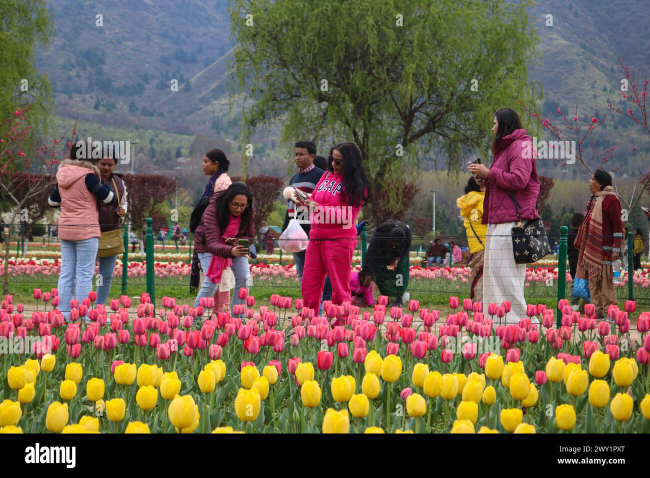 April 03, 2024, Srinagar, India: Indian Tourists take a tour on the ...