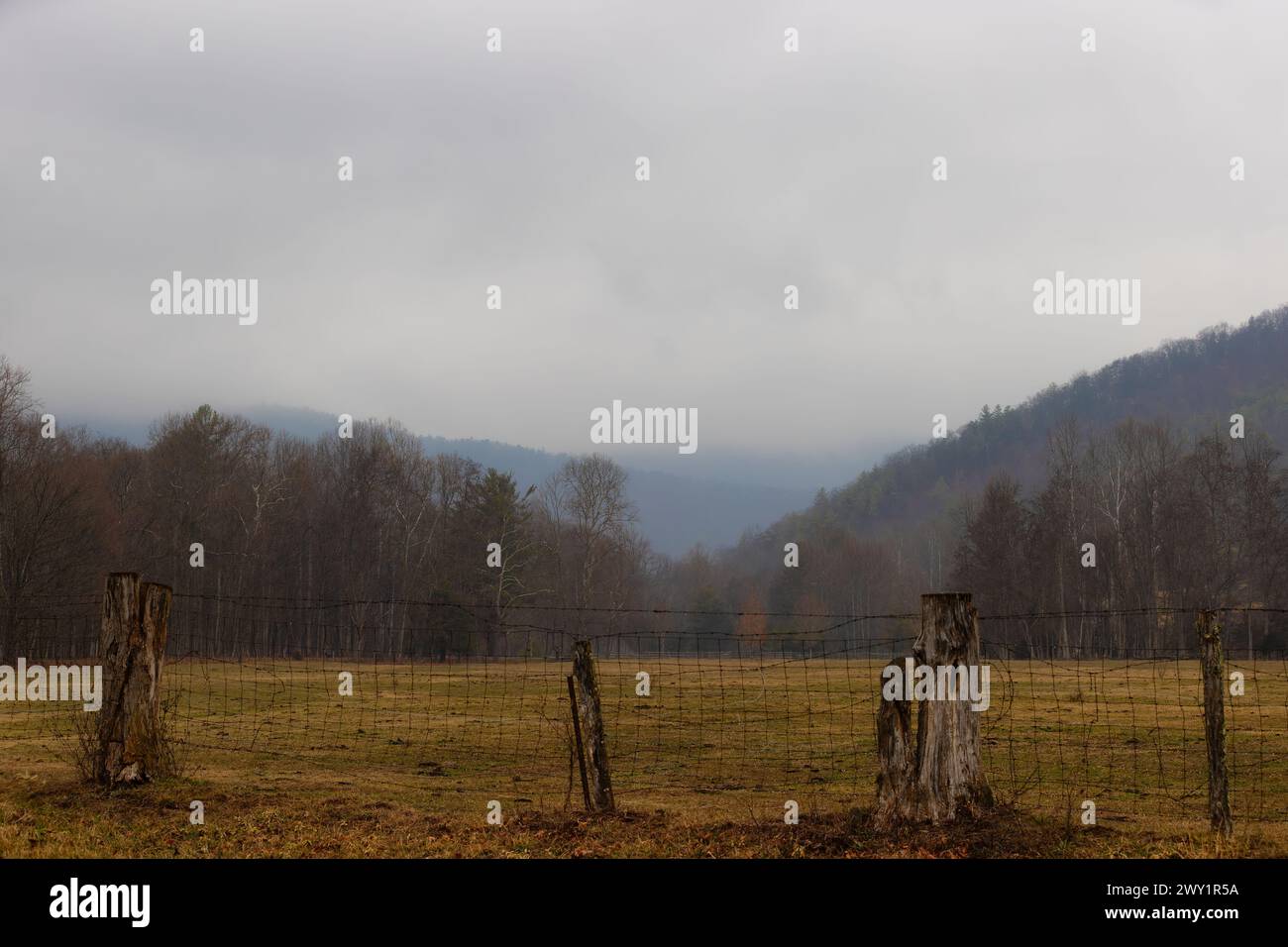 Rain falls over this landscape view of pasture land with trees and ...