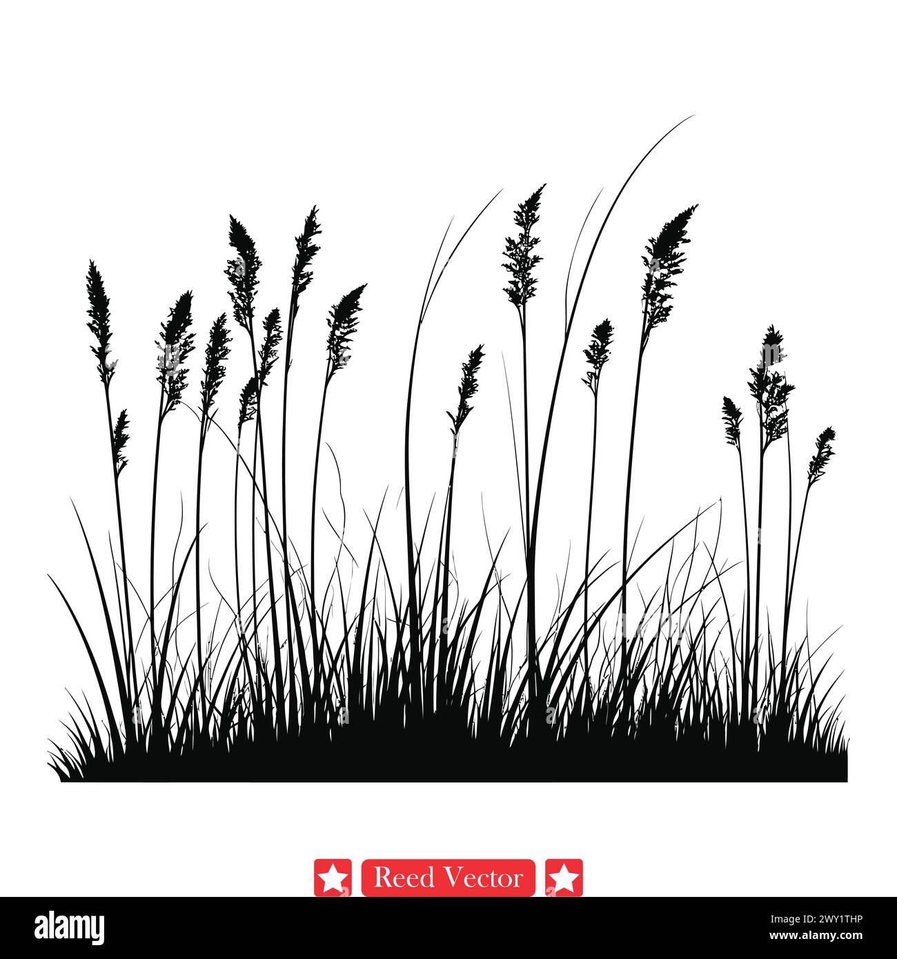 Reed dance Stock Vector Images - Alamy