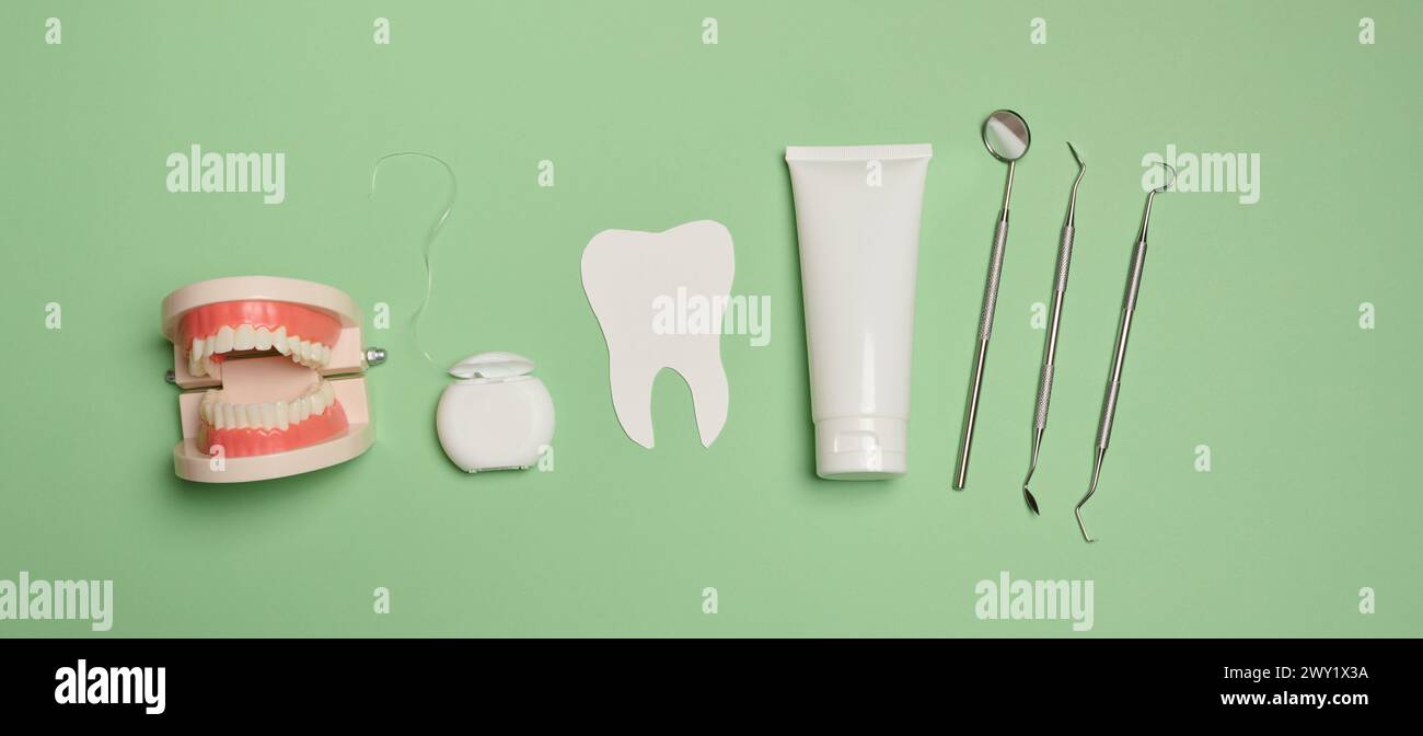Model of human teeth, tube with toothpaste, dental floss and medical ...
