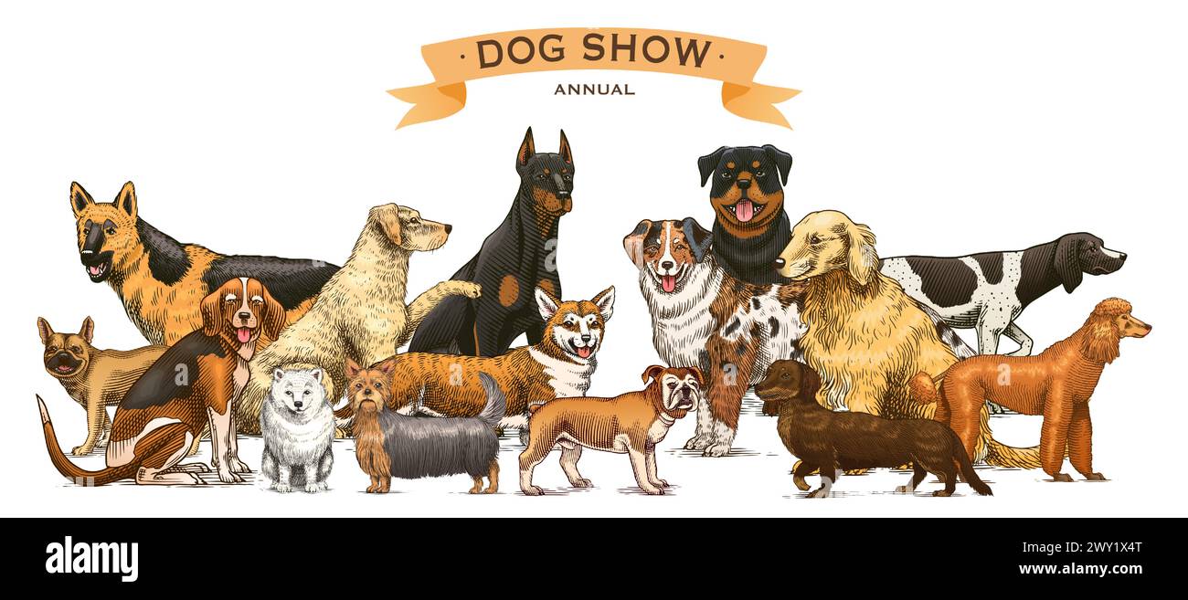 Dogs banner. Different breeds of domestic animals poster. Puppy ...