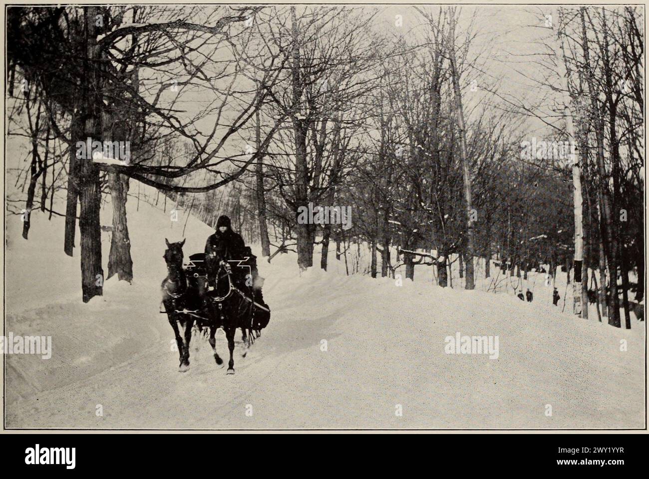 Vintage Montreal Photograph circa 1900s. Sleigh drive through winter ...