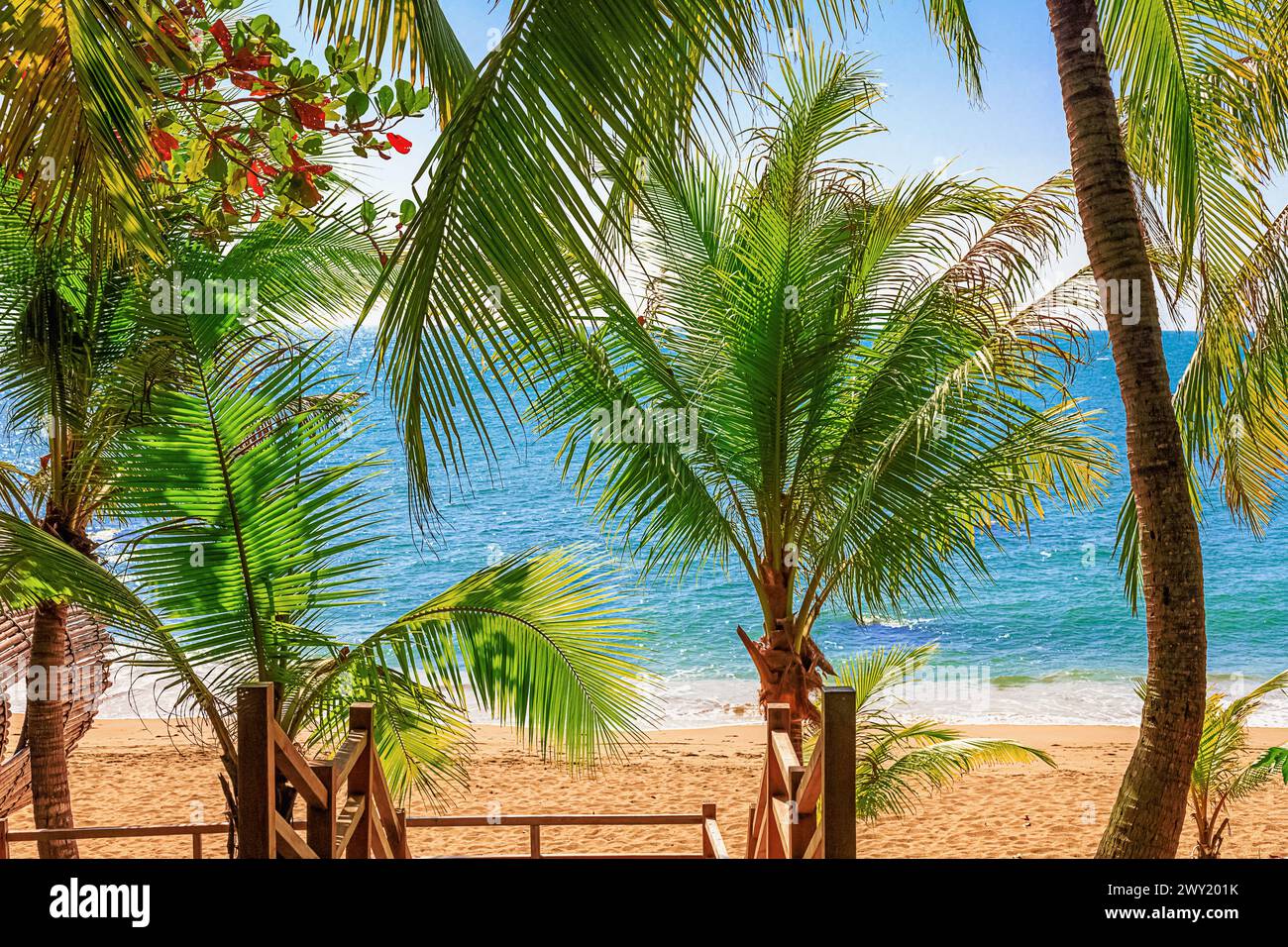 View of the coastline of the South China Sea through palm trees. Sanya ...