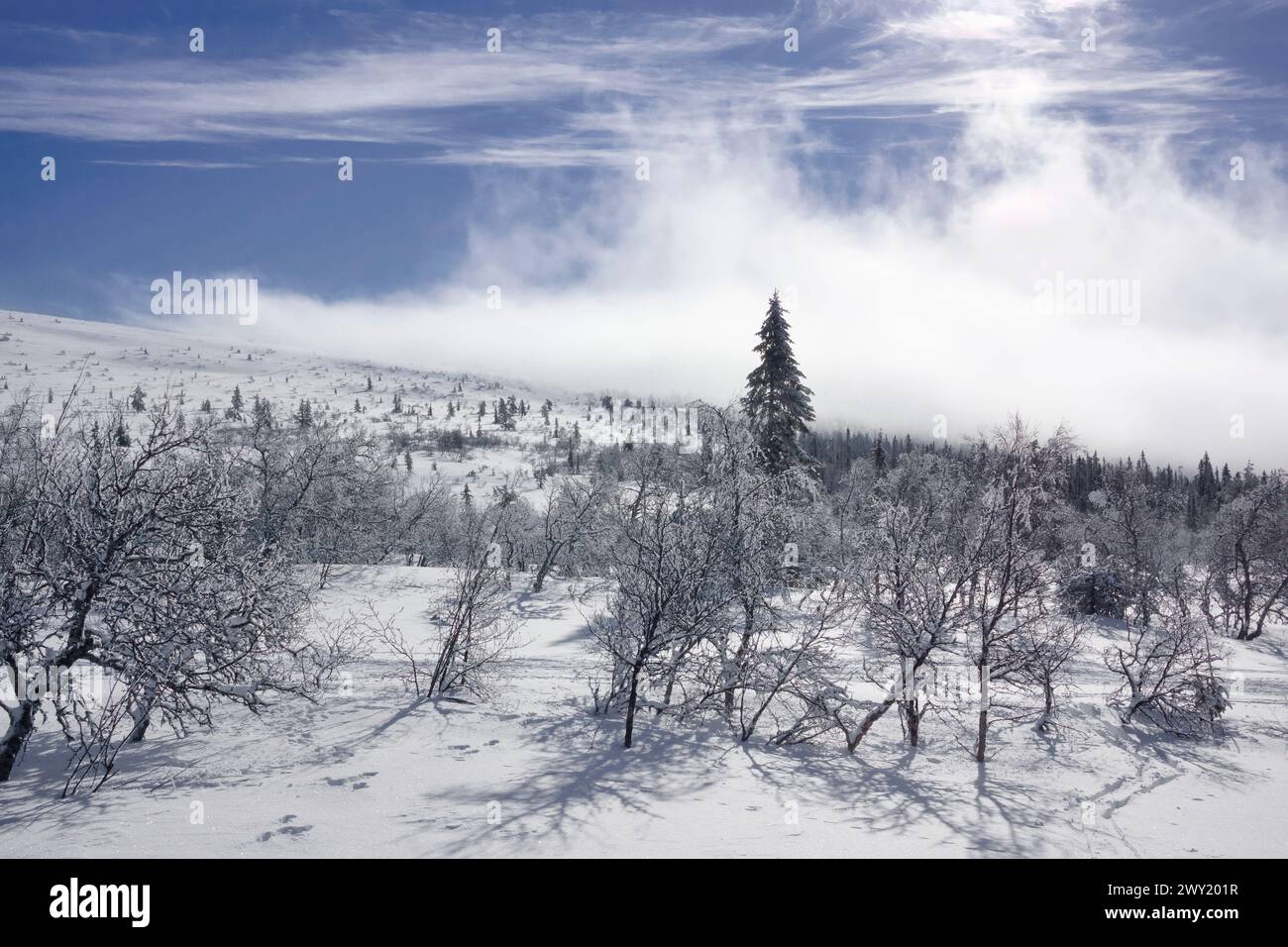 The fog rolls in on Stdjan-Nipfjllet mountain Stock Photo - Alamy