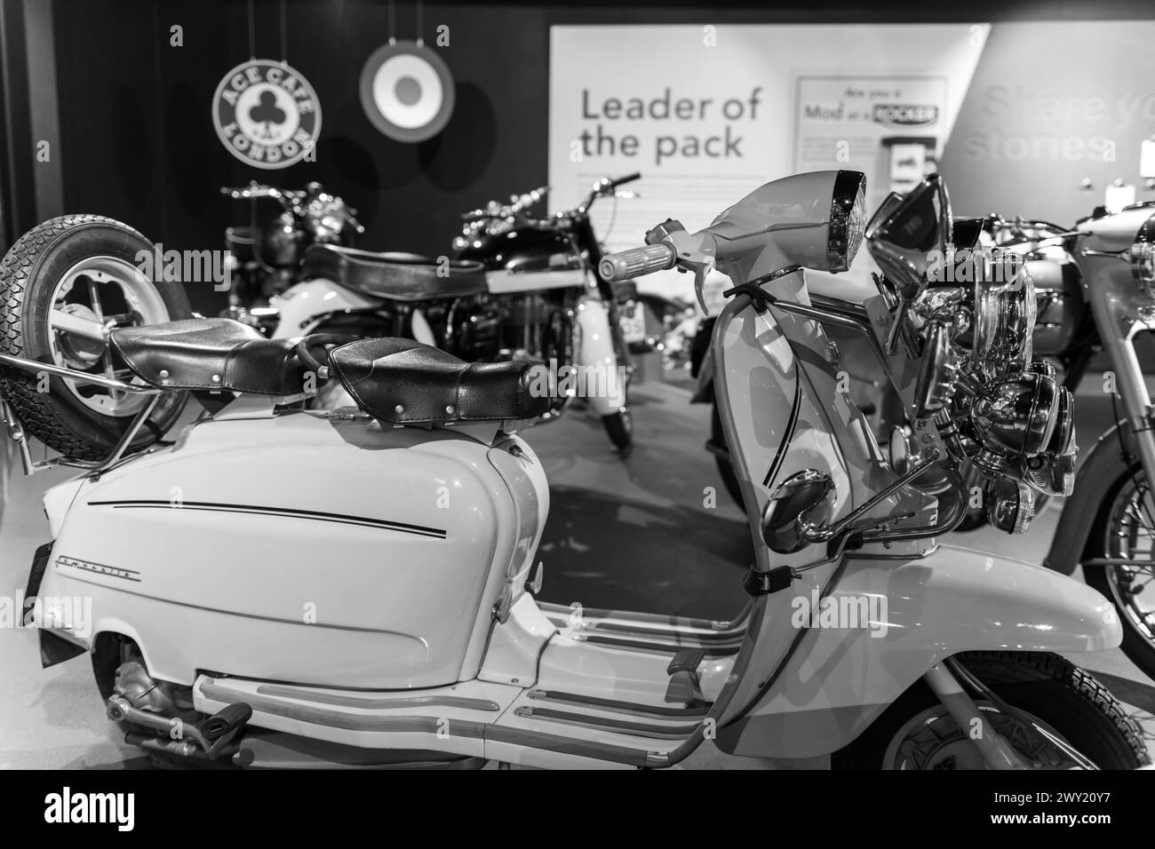 Sparkford.Somerset.United Kingdom.January 7th 2024. is on show at the ...