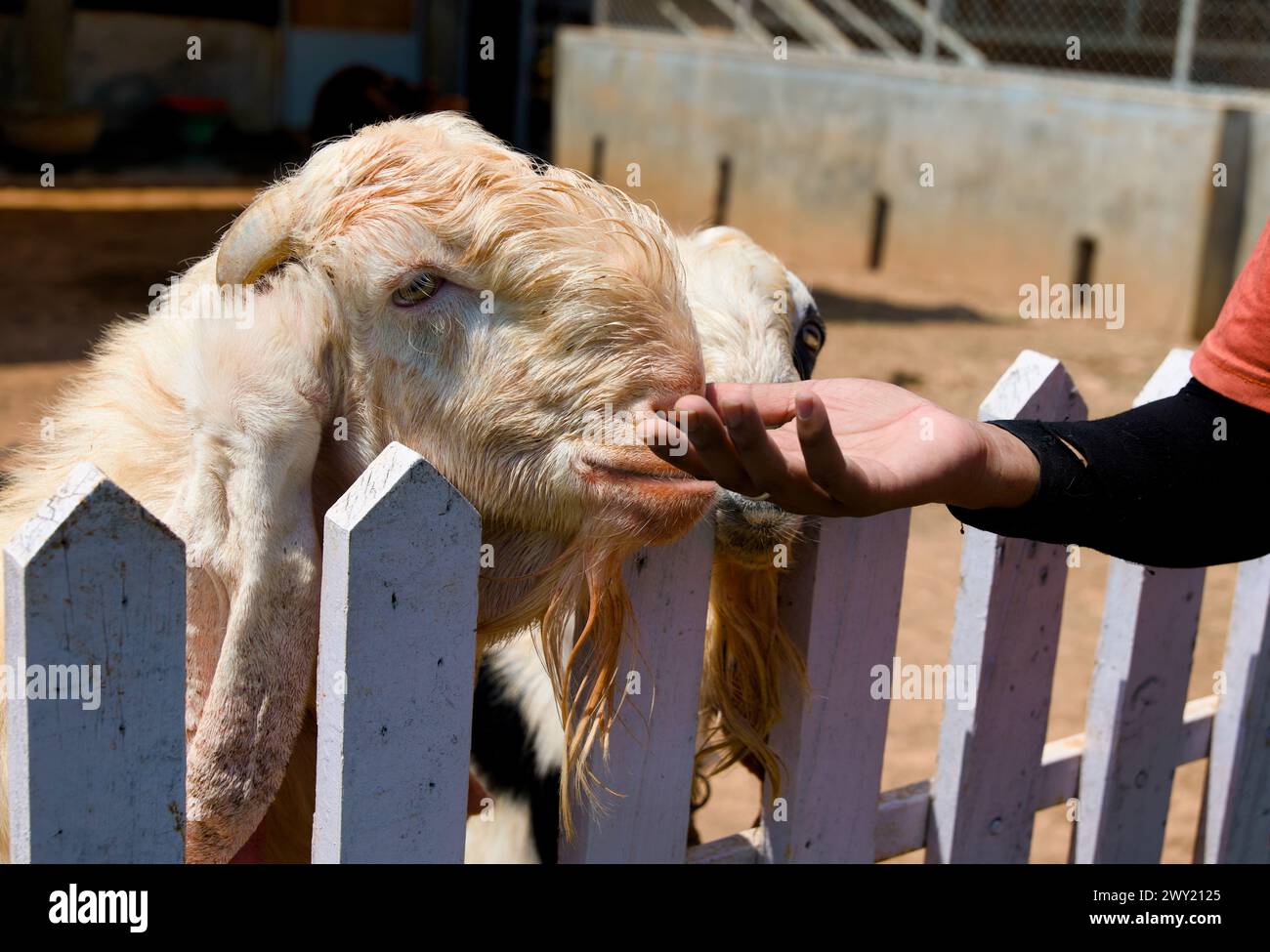 Close encounter with human hi-res stock photography and images - Alamy
